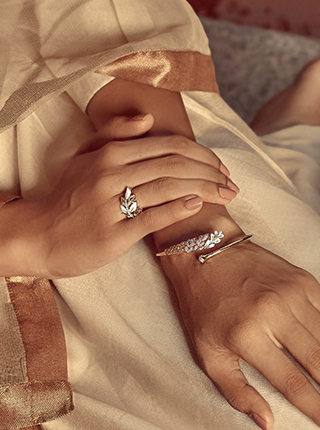 All Collections Page